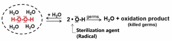 Hydrogen Peroxide Process Challenge - Babich Steriliser